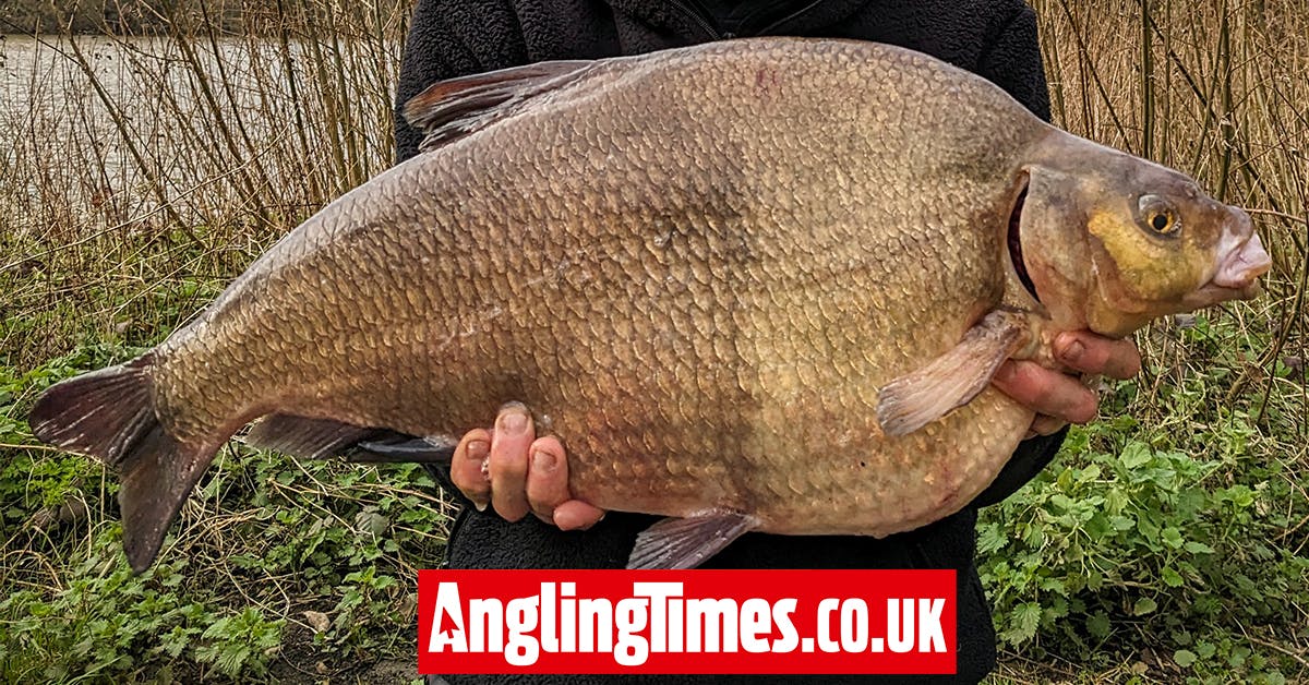 Macey meets mega two-tone bream | Angling Times