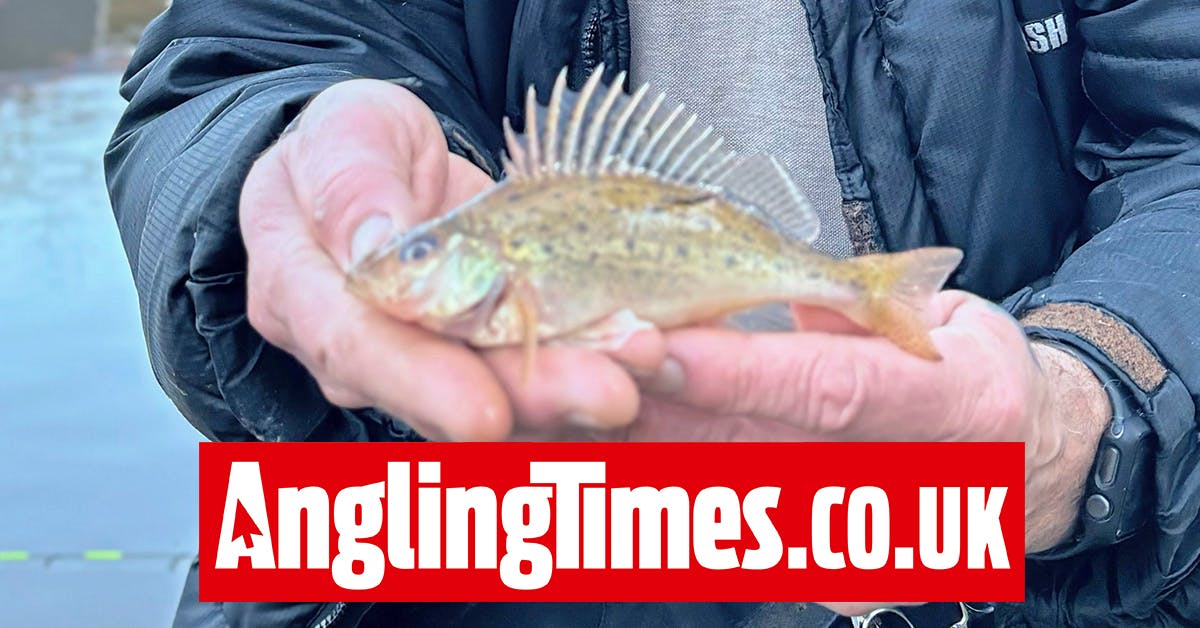 Angling Times