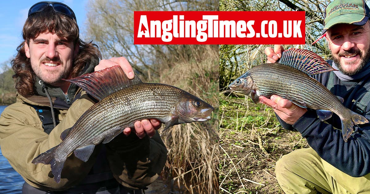 Anglers flock to Scotland to experience superb grayling fishing ...