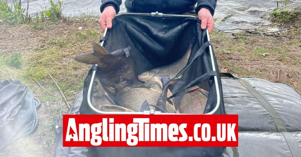 Triple figure haul leads the way at top class bream water | Angling Times