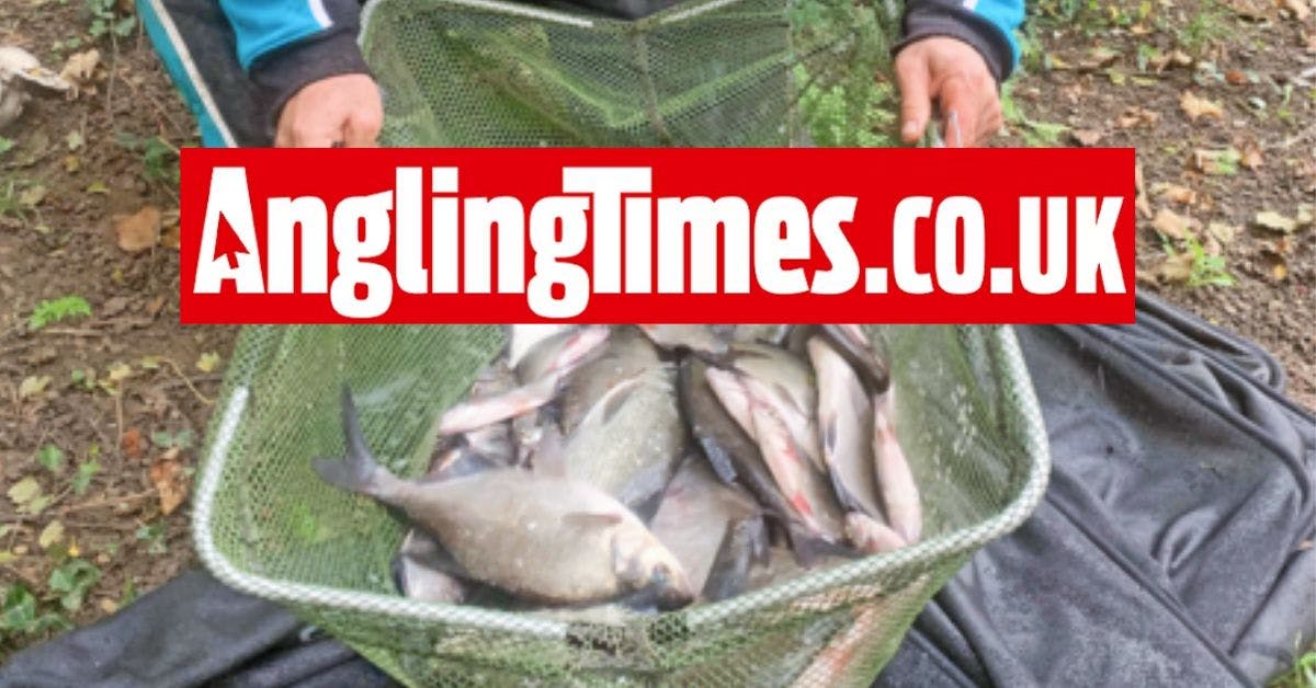 Nation’s best silverfish league ends in epic fashion | Angling Times