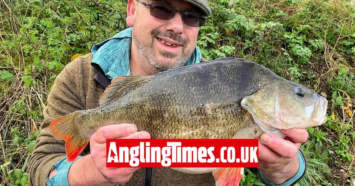 Perseverance pays off with huge PB perch | Angling Times