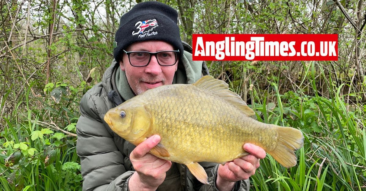 Superb crucian carp caught on final session of the year | Angling Times