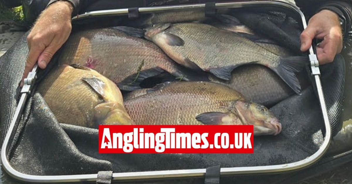 Ringer bags giant bream haul at prolific venue | Angling Times