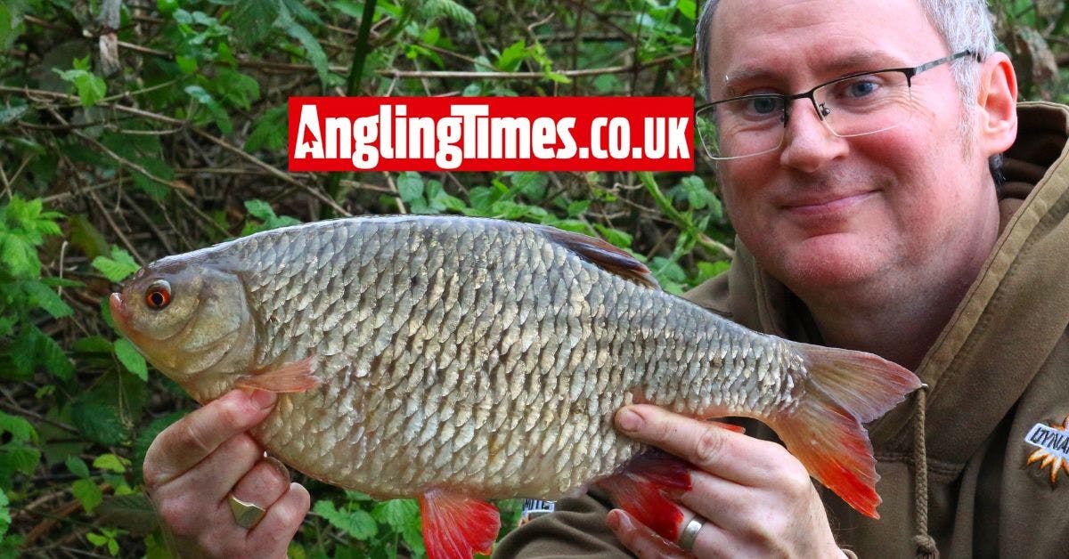 Huge early season rudd landed | Angling Times