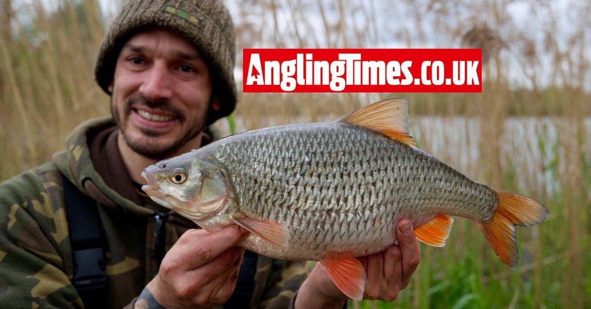 The perfect roach for specimen ace | Angling Times