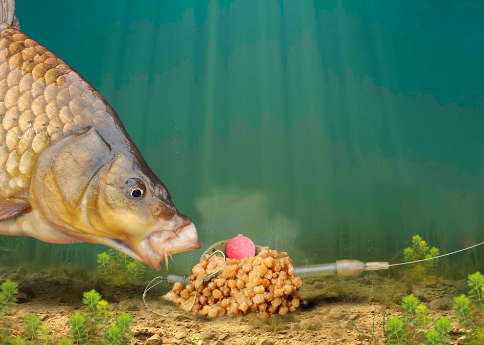 Awesome commercial feeder fishing rigs | Angling Times
