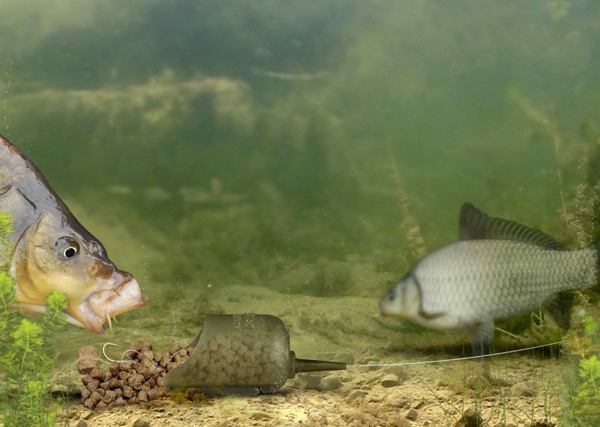 Awesome commercial feeder fishing rigs | Angling Times