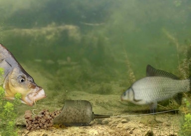 Awesome commercial feeder fishing rigs | Angling Times