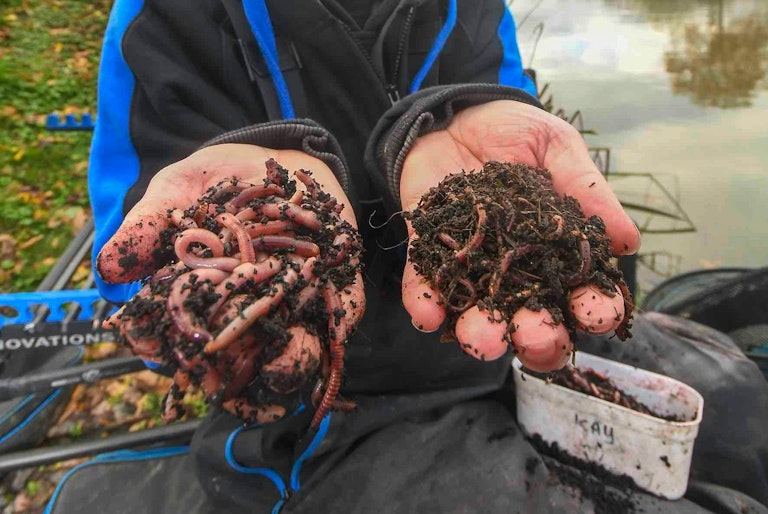 How to fish with worms | Kayleigh Dowd | Angling Times