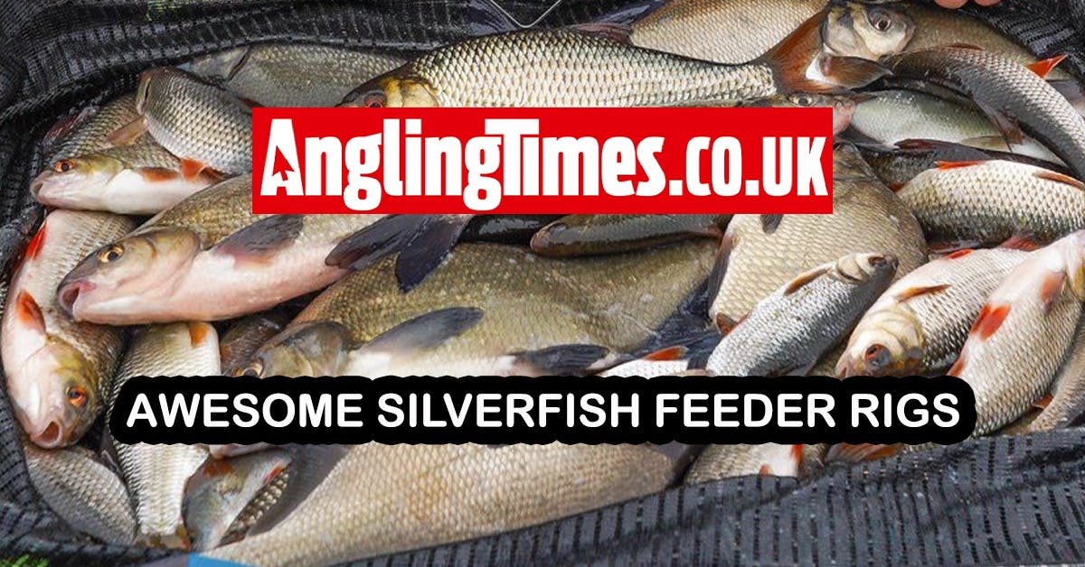 Awesome silverfish feeder rigs | Angling Times