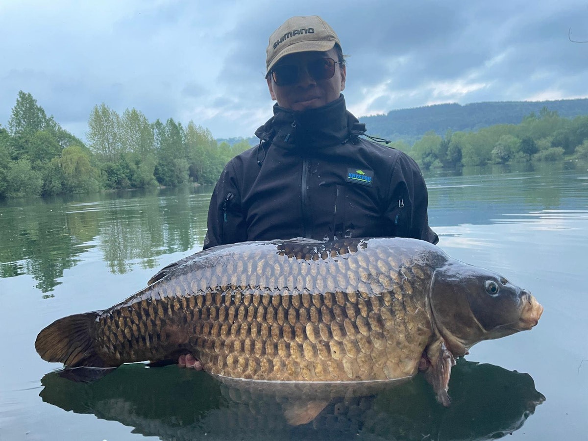 Yorkshire 50lb carp caught ‘off the top’ | Angling Times