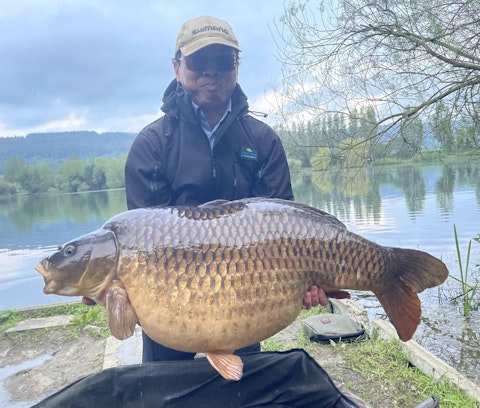 Yorkshire 50lb carp caught ‘off the top’ | Angling Times