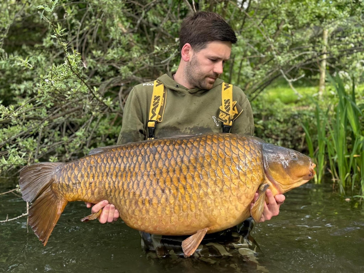 Common carp 1oz short of the British Record banked | Angling Times