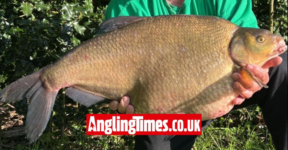 Dream bream caught after years of angling | Angling Times