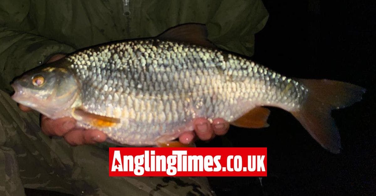 Tactical change results in shock 3lb roach | Angling Times