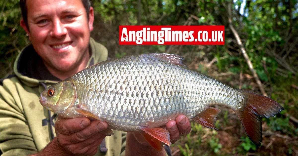 Quick move results in epic roach session | Angling Times