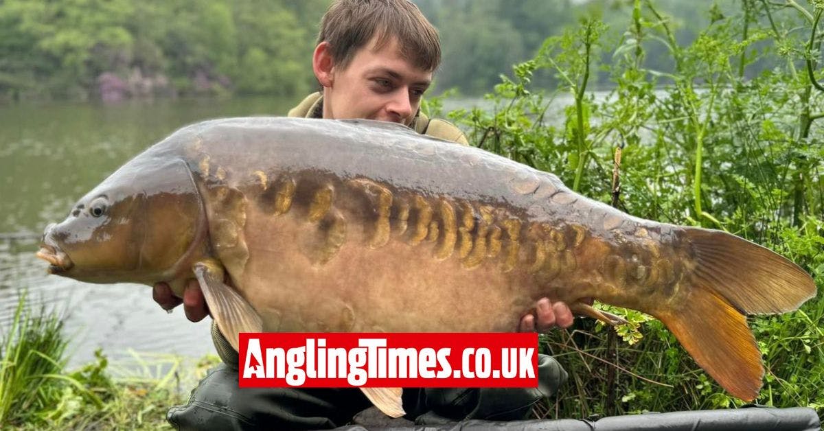 105 carp landed in 48 hour session | Angling Times