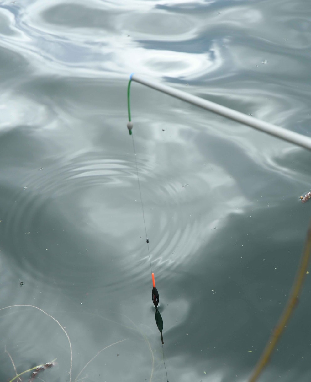 How to fish the short pole line | Steve Ringer | Angling Times