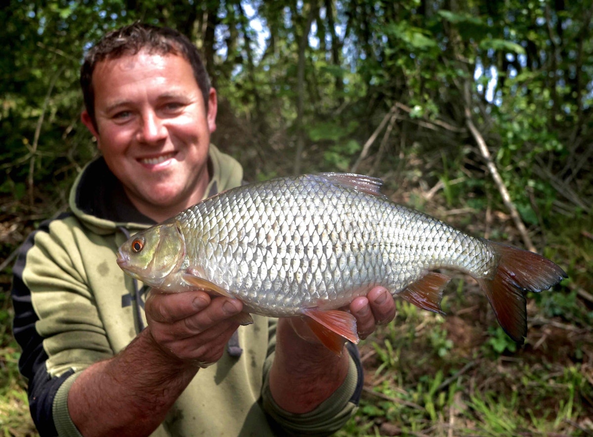 Quick move results in epic roach session | Angling Times