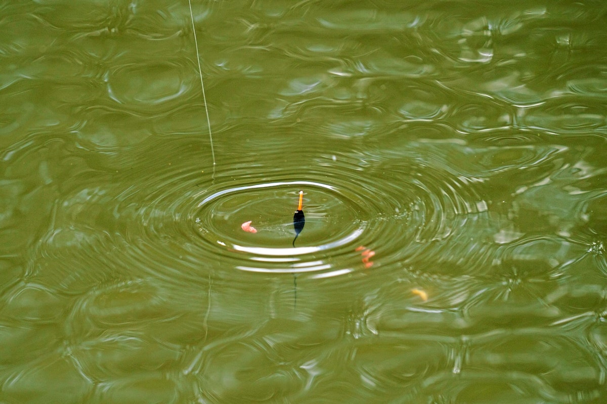 Beginner's Guide: How to Catch Your First Fish