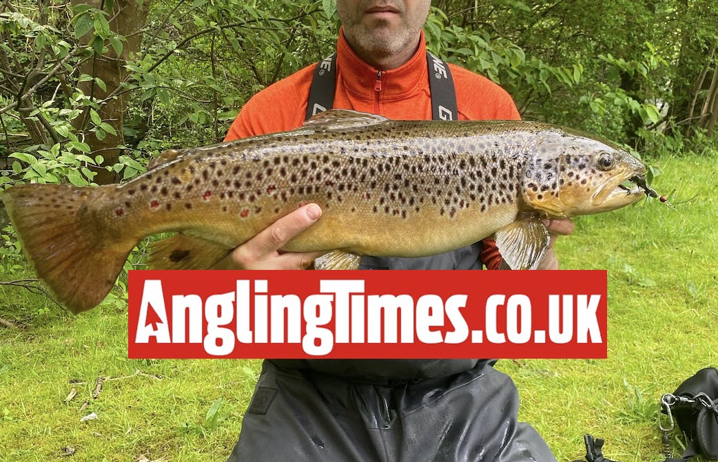 10lb brown trout landed on 4ft rod! | Angling Times