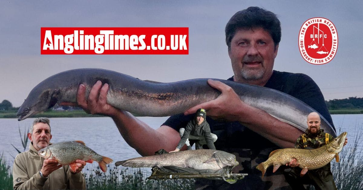 Four new British record fish and it’s only June | Angling Times