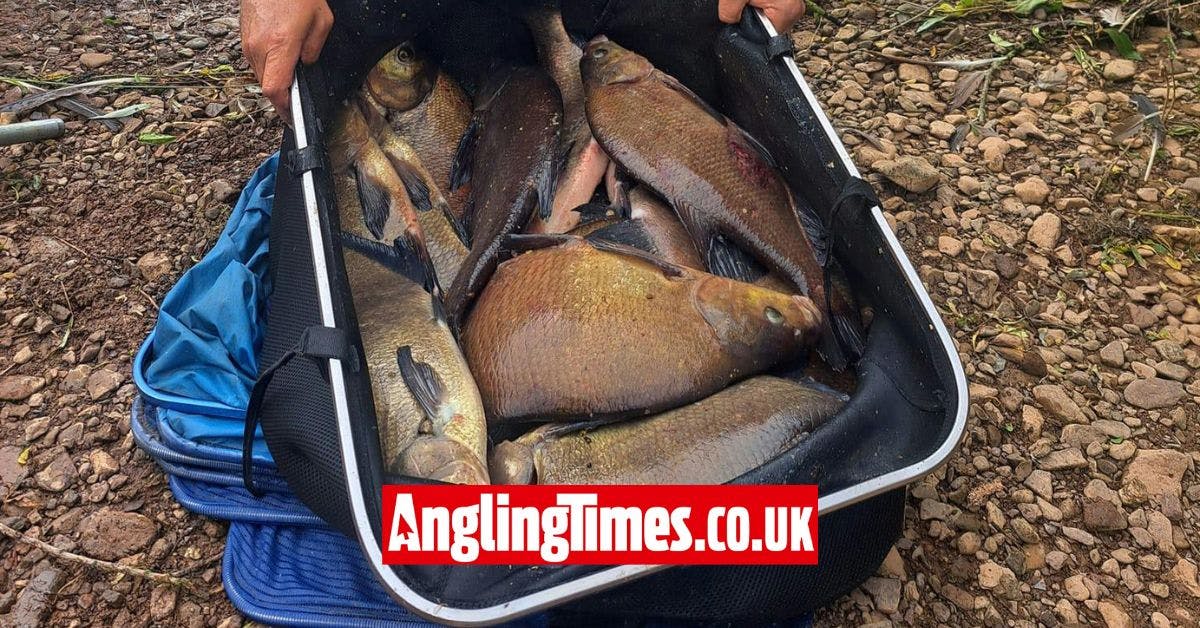 Giant bream haul bagged from popular reservoir | Angling Times