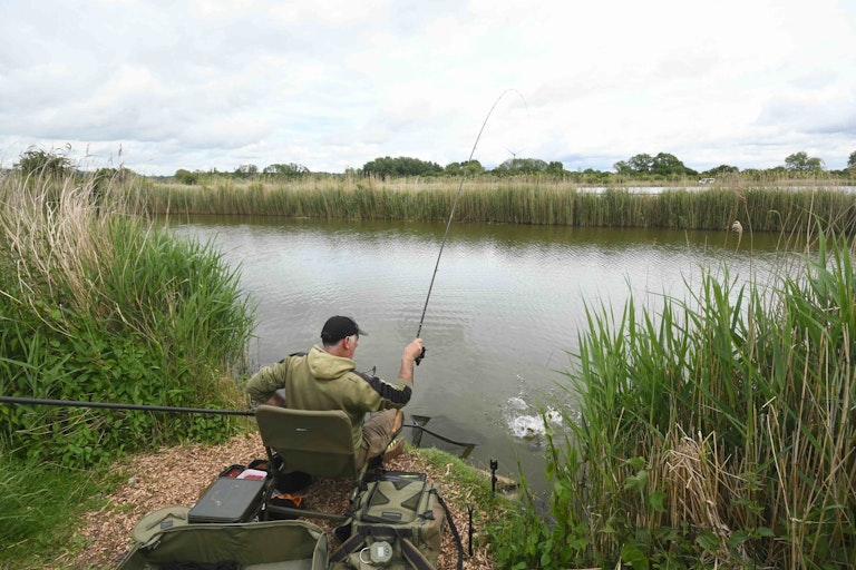 A beginners guide to tench fishing