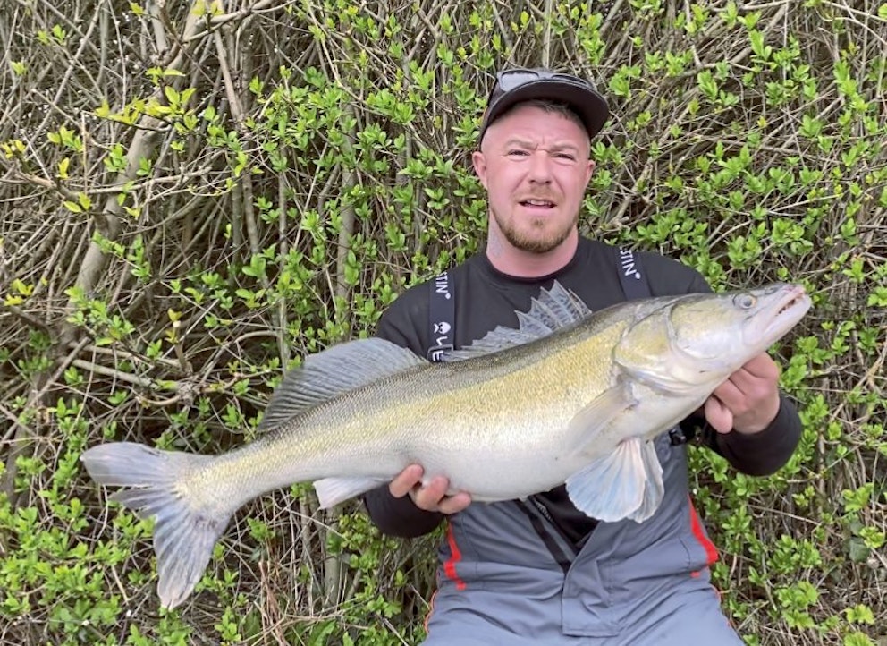 Big zander makes up for the one that got away | Angling Times