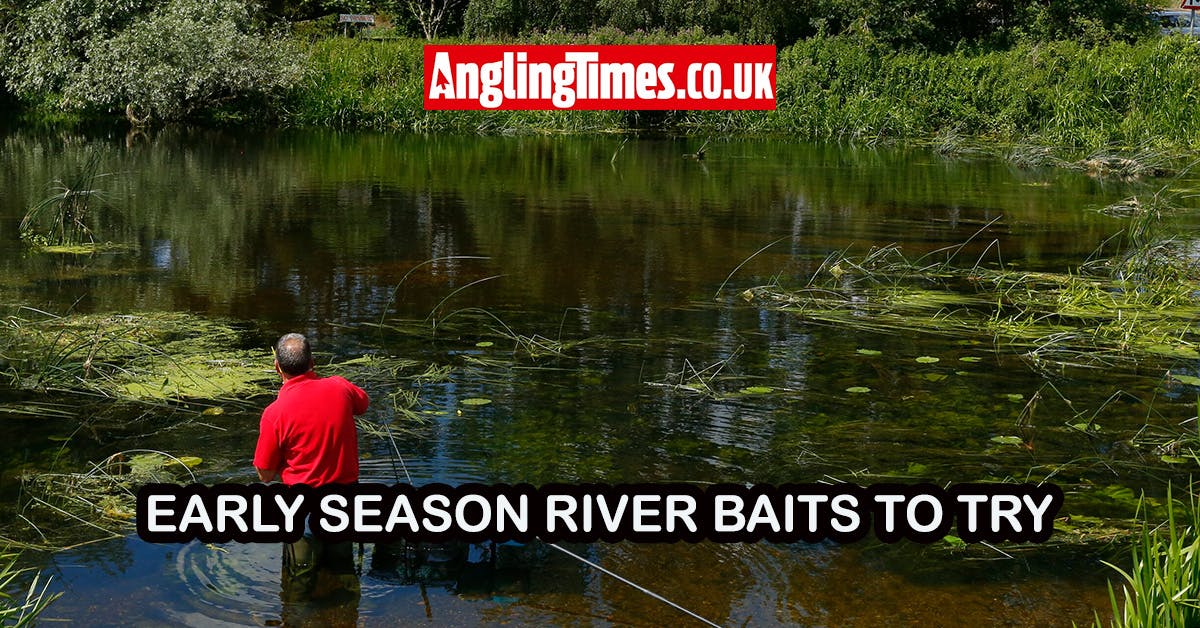 Essential Early Summer Baits for River Anglers