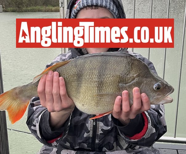 Angling novice banks giant 5lb plus perch | Angling Times