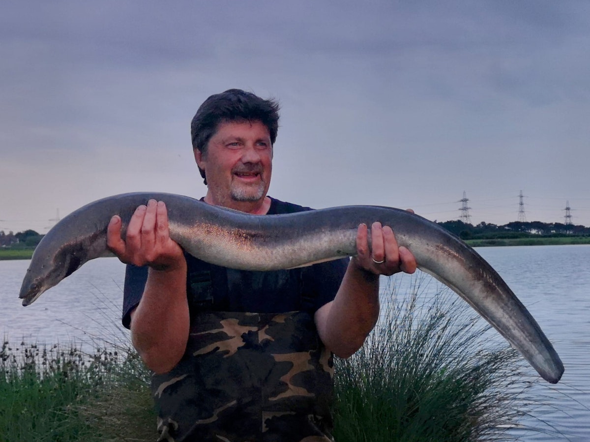 British record eel weighing 11lb 3oz banked! | Angling Times