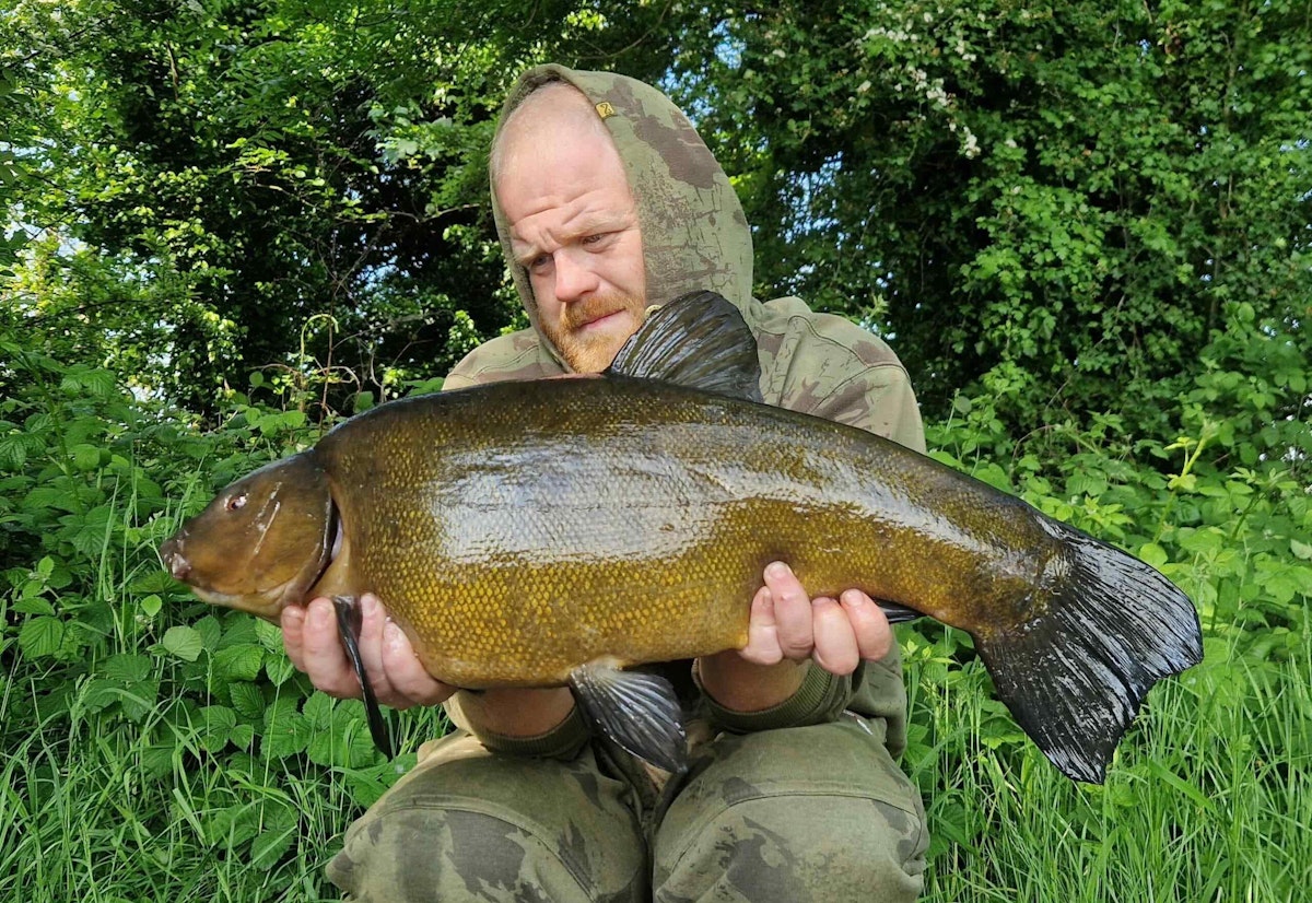 One of the biggest tench of the season landed | Angling Times