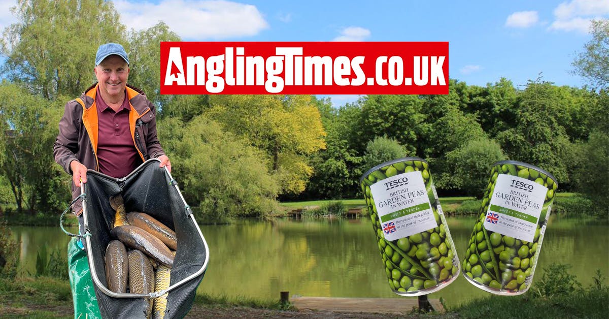 Angler dominates matches with unusual bait | Angling Times