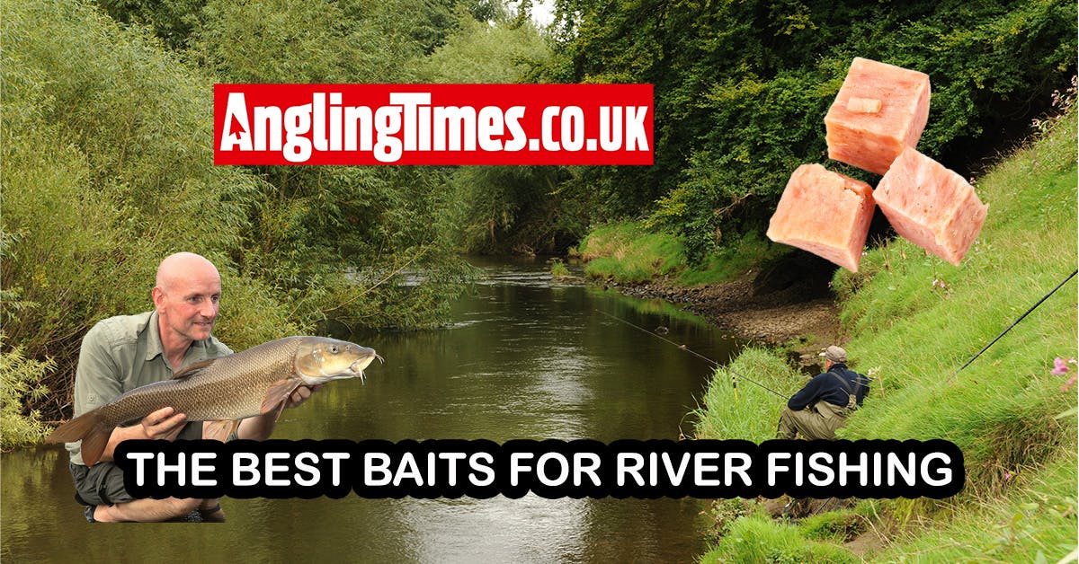The best baits for early season river fishing | Angling Times
