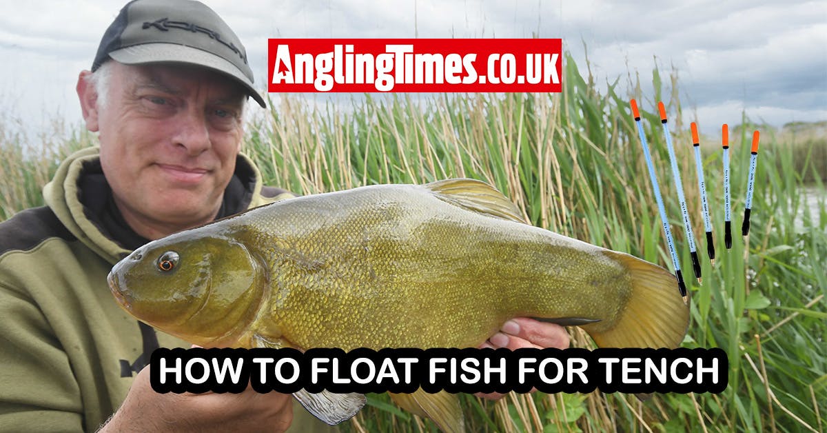 How to catch tench on the float | Angling Times