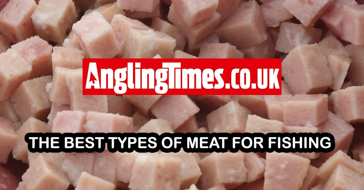 The best meat baits for fishing | Angling Times