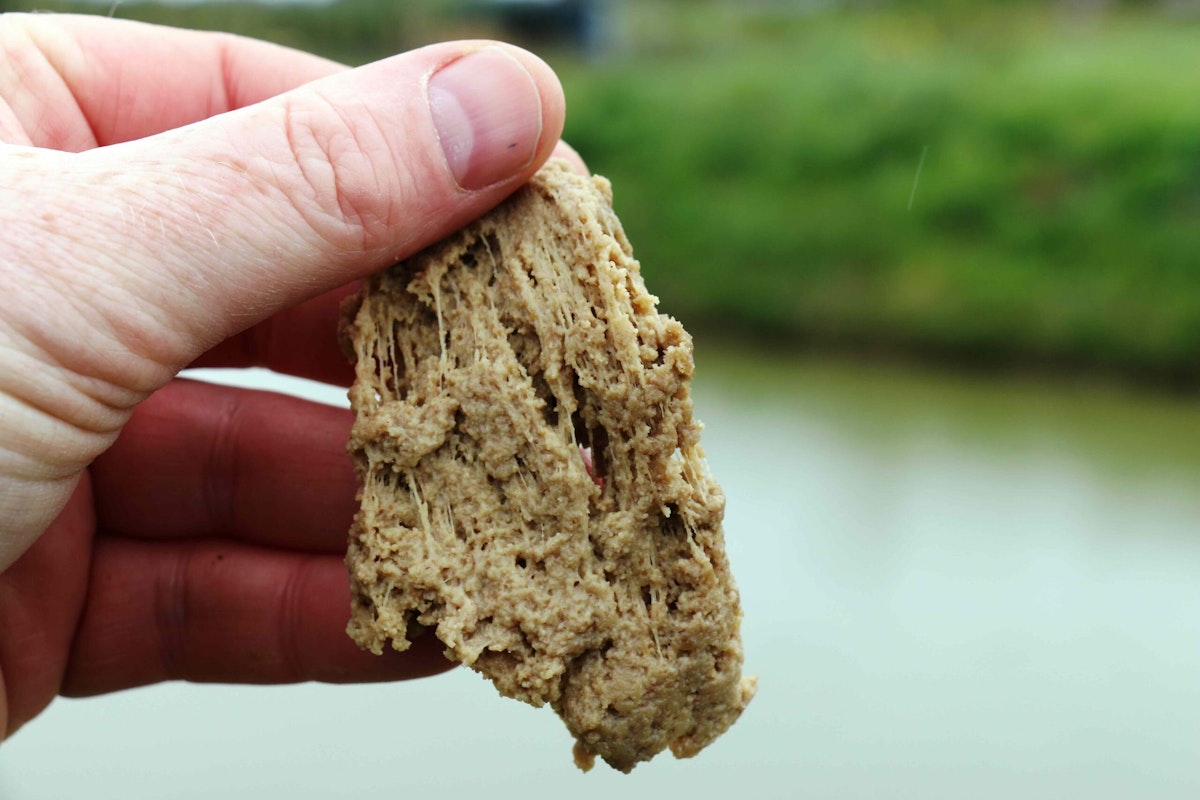 The best paste fishing baits | Angling Times