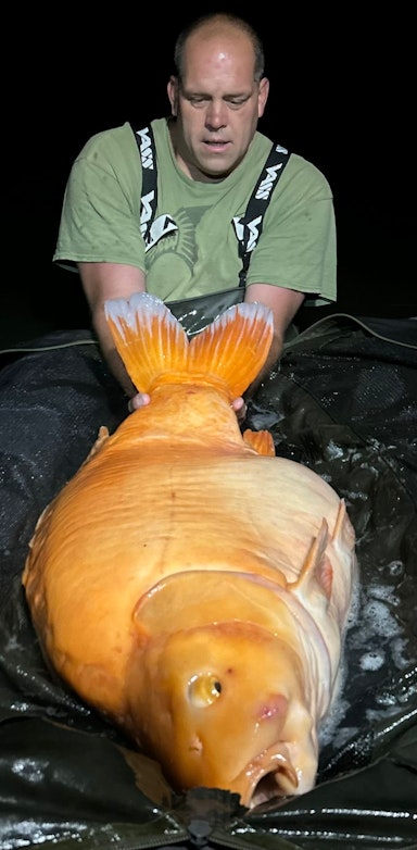 UK angler catches the “World’s Biggest Goldfish” | Angling Times