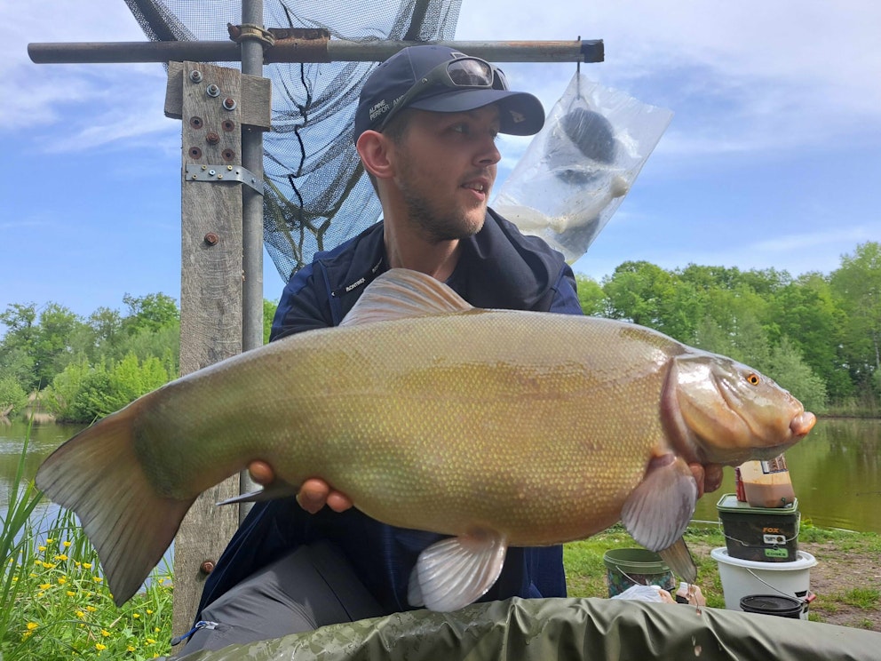 Potentially the biggest tench ever has been caught | Angling Times