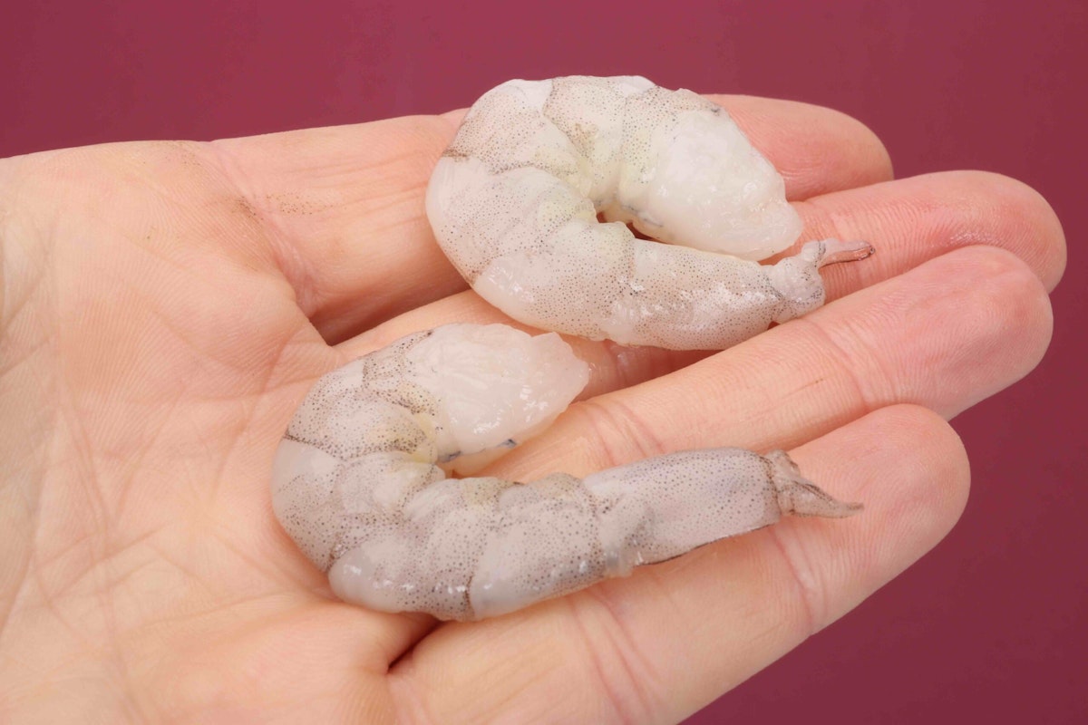 The best fishy baits to use for coarse fishing | Angling Times