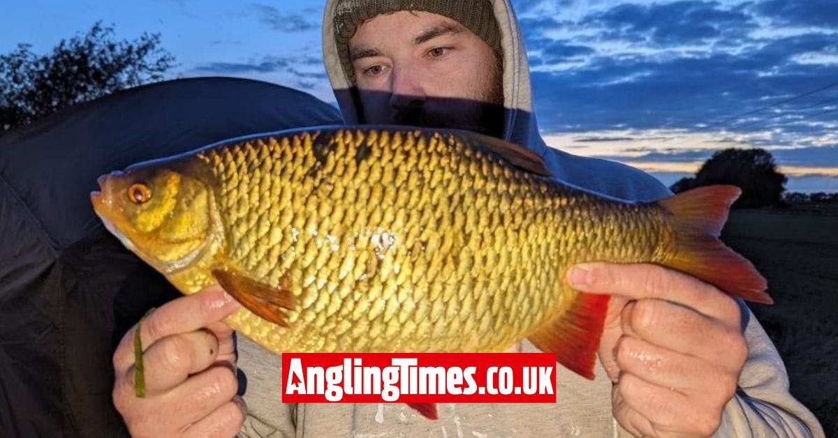 Sensational rudd haul from river topped by 3lb fish | Angling Times