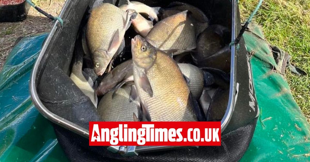 News Stories | News | Angling Times
