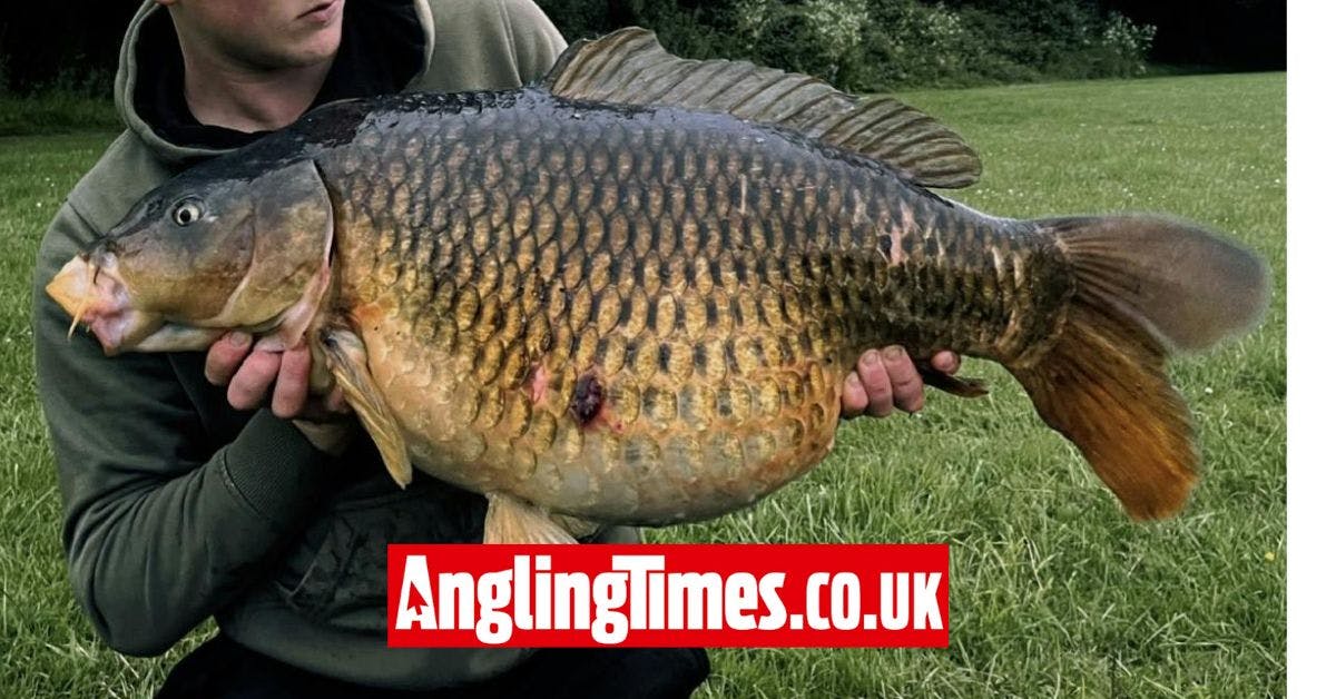 News Stories | News | Angling Times