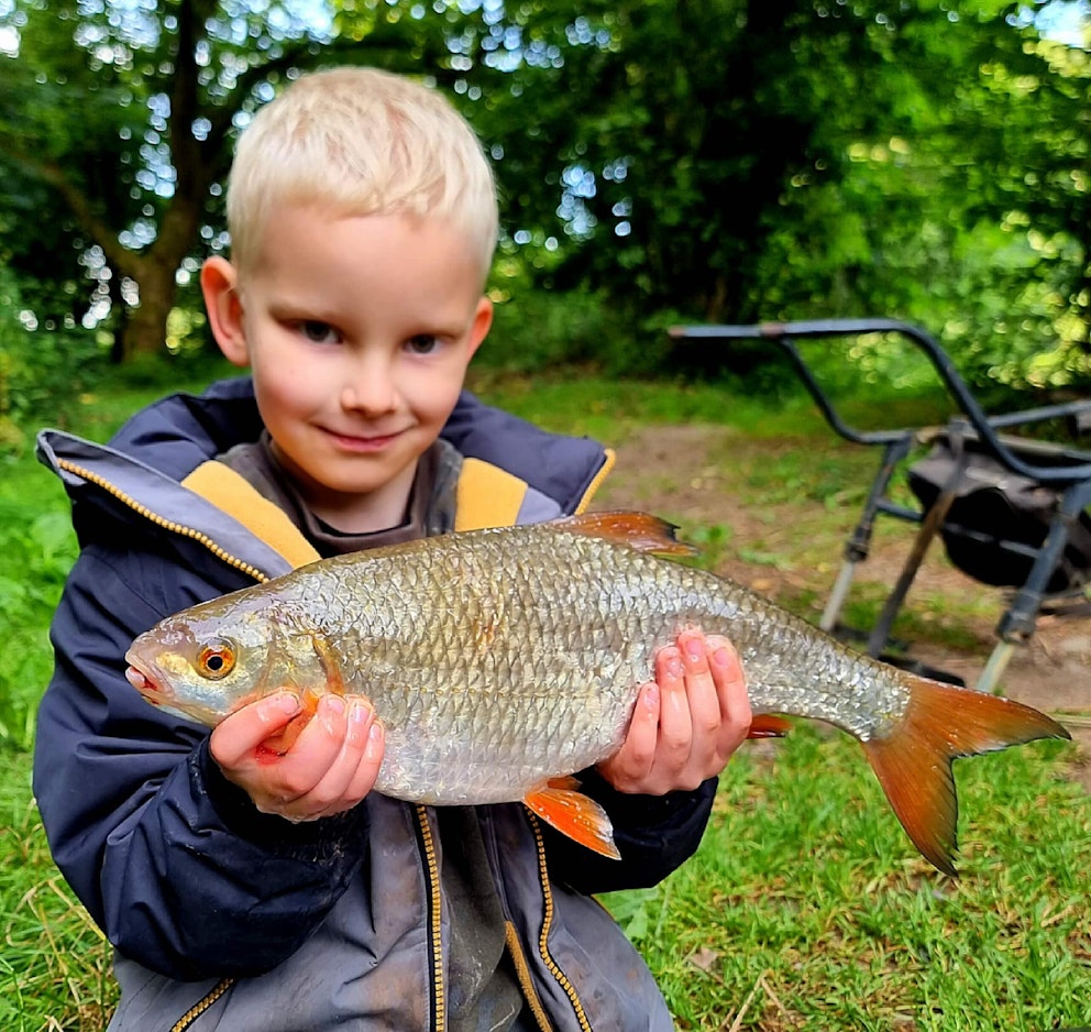 Is this the biggest roach ever caught by a child? | Angling Times
