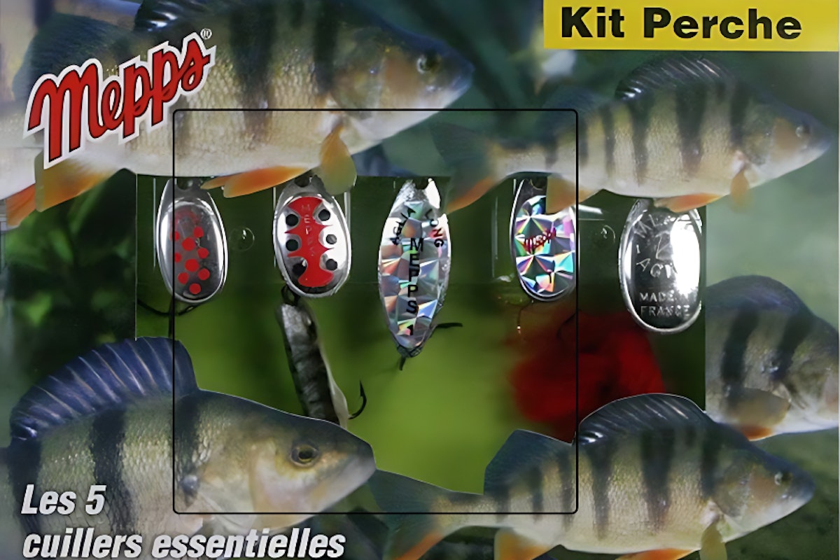 Best lures for perch fishing | Angling Times