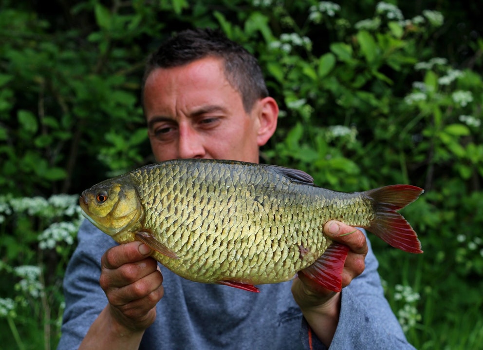 A big rudd revolution is happening on the Fens | Angling Times