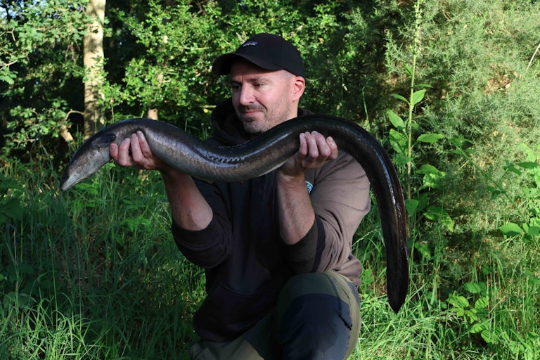 Recast results in huge eel to end run of blanks | Angling Times