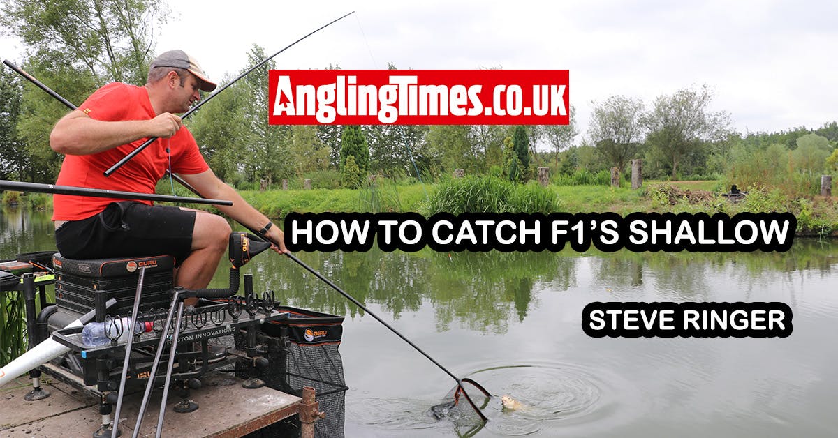 How to fish shallow for F1s | Steve Ringer | Angling Times